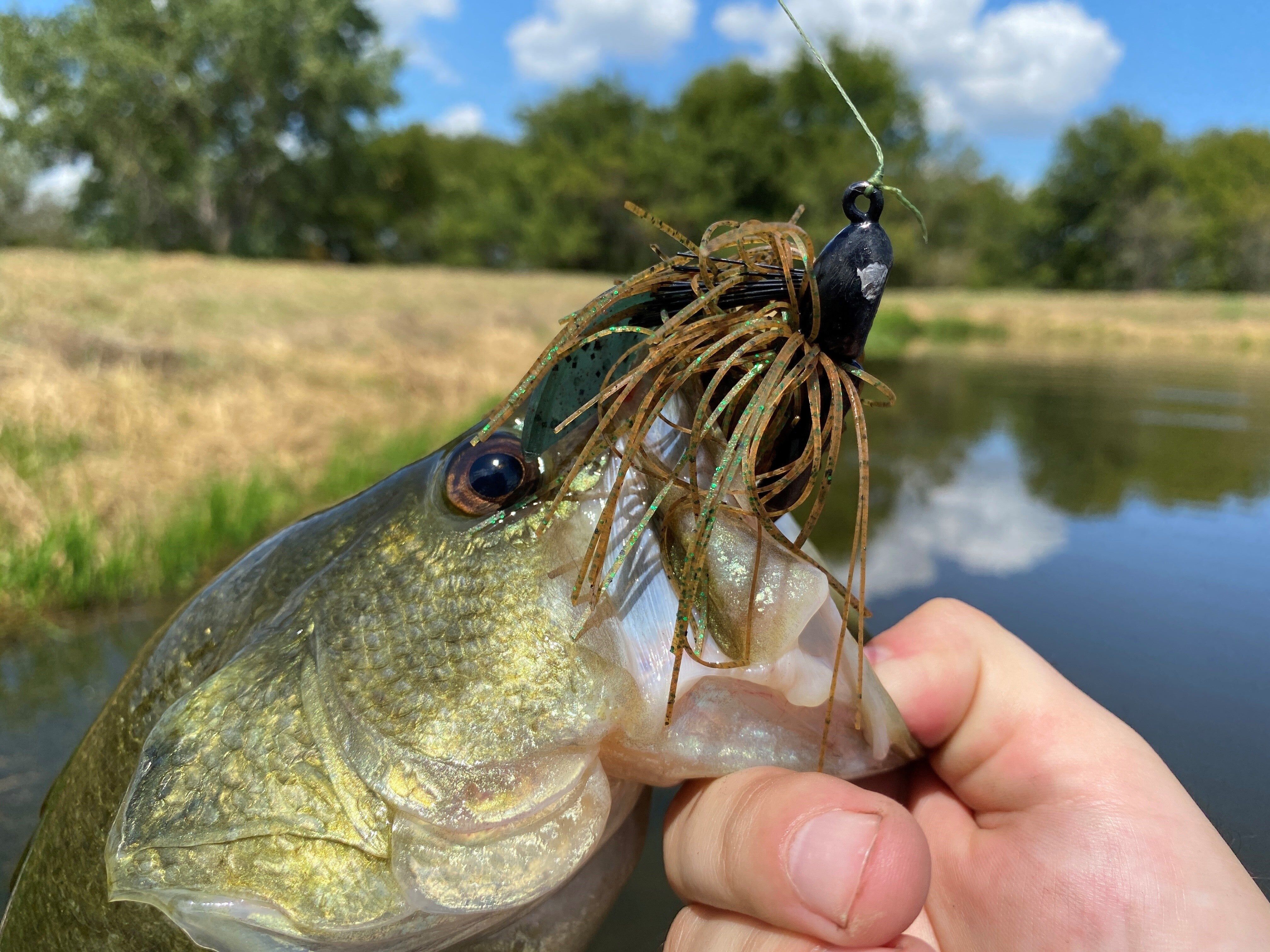 Best Jig Rods for Bass: Our Favorites Reviewed