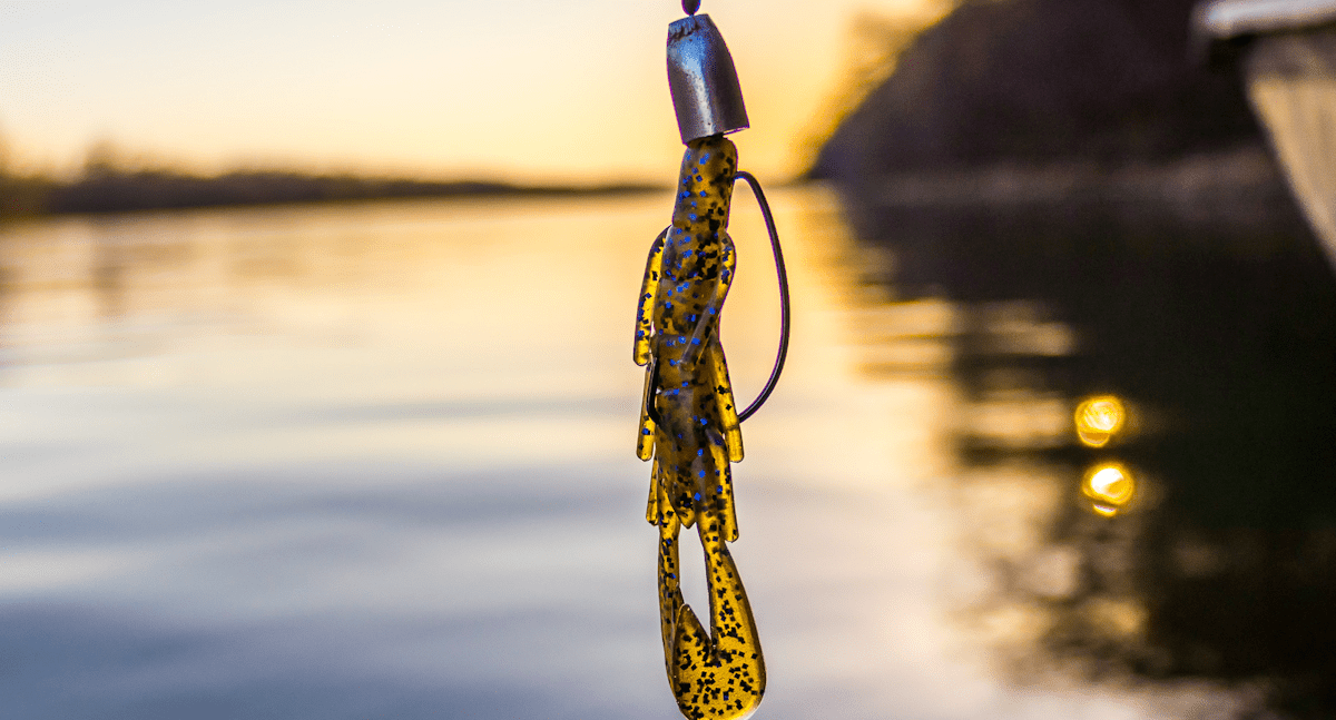 The Texas Rig: A Complete Guide to Rigging and Techniques 2025