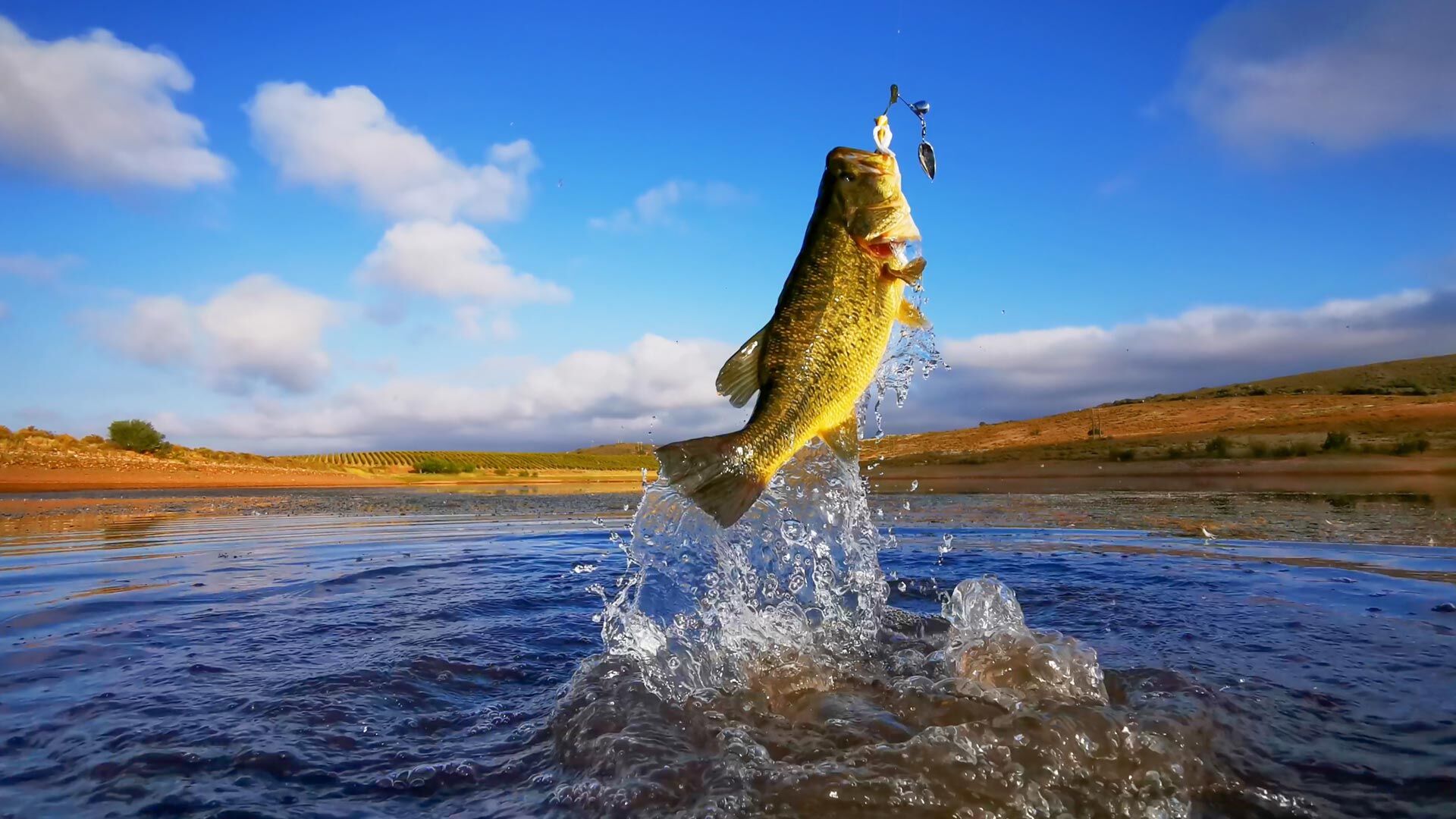 Best Bass Fishing Rods Reviewed - One Rod To Rule Them All in 2025