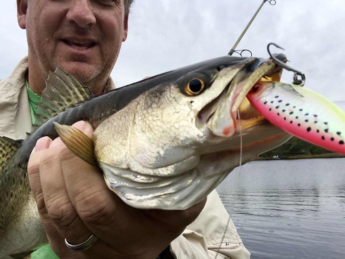 Best Rod And Reel Combo For Redfish And Speckled Trout - USAngler