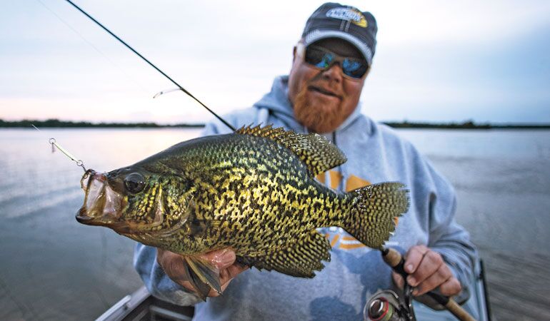 The Best Fishing Rods for Panfish - USAngler