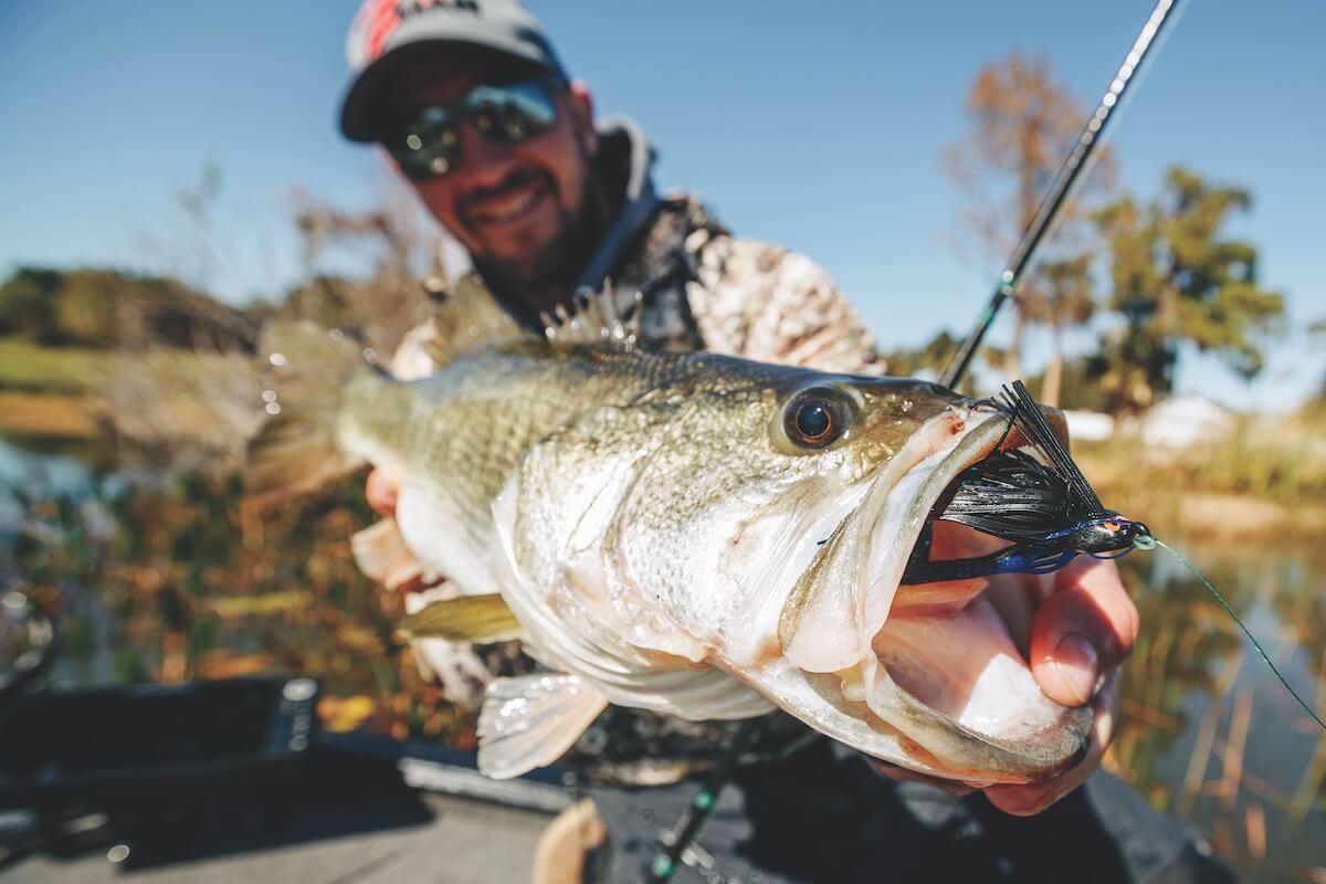 Best Jig Rods for Bass: Our Favorites Reviewed