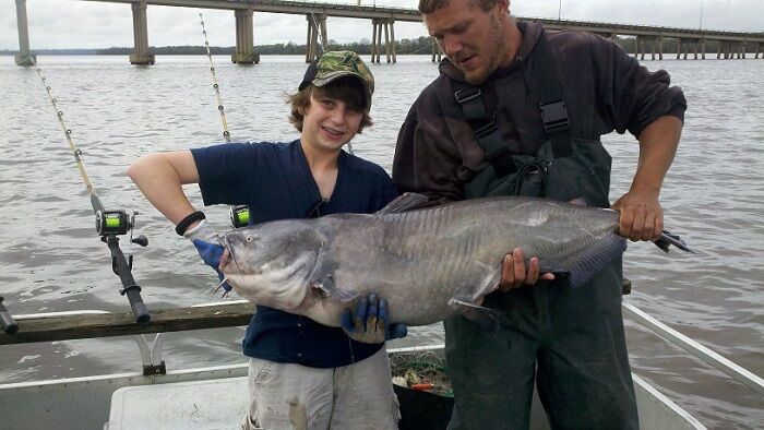 2025's Best Catfish Rods Reviewed - Tough, Sensitive, and Capable