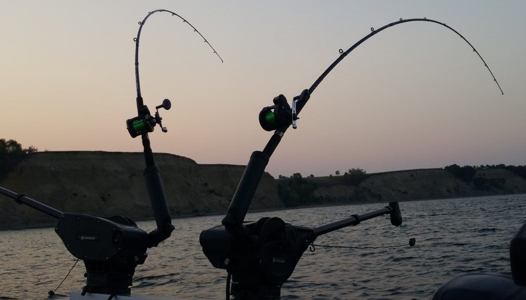 Best Trolling Rod and Reel Combos: Walleye, Salmon, and Pelagic Options ...