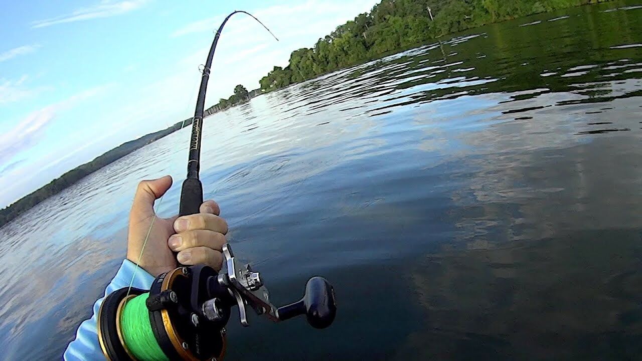 2025's Best Catfish Rods Reviewed - Tough, Sensitive, and Capable