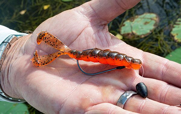 The Texas Rig: A Complete Guide to Rigging and Techniques 2025