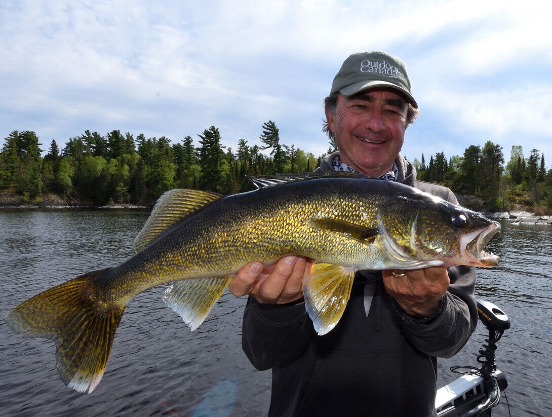 River Walleye Fishing: How To Catch 'Eyes in the Spring & Fall - USAngler