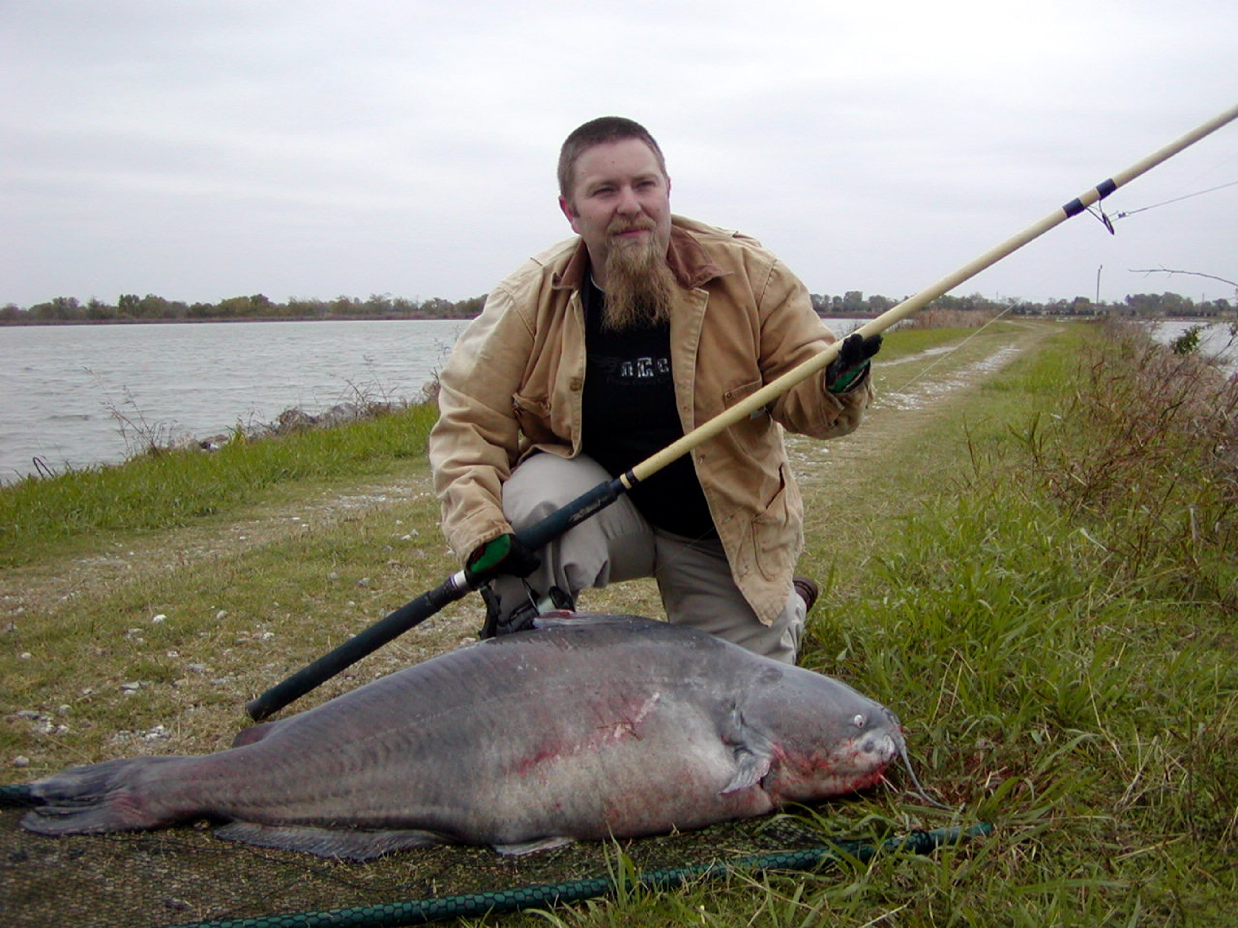 2025's Best Catfish Rods Reviewed - Tough, Sensitive, and Capable