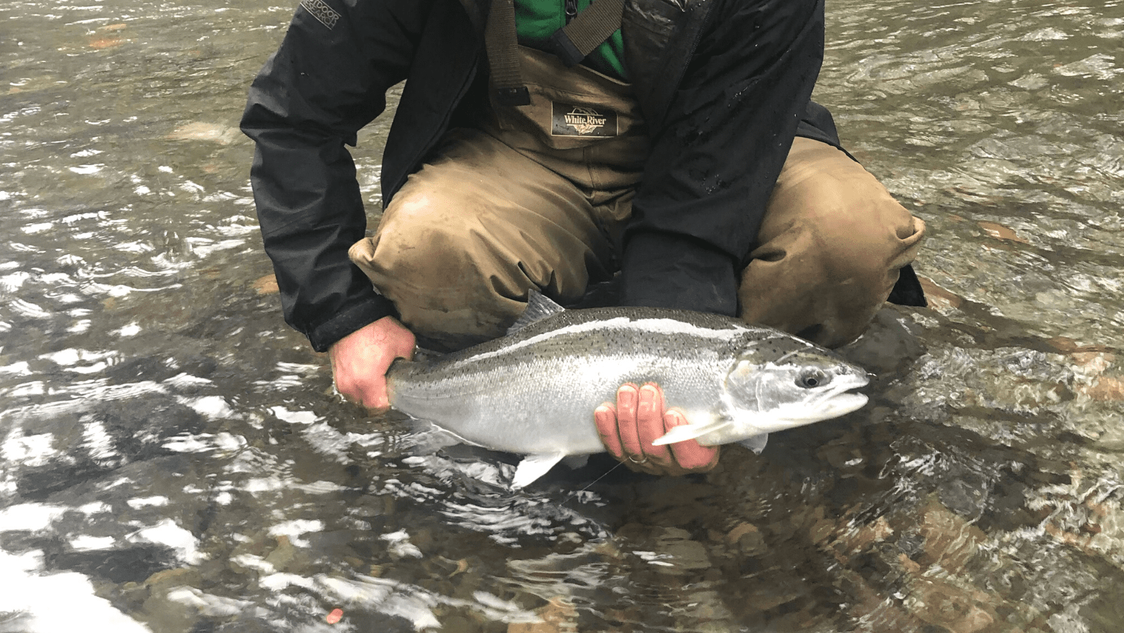 The Best Reels For Steelhead Fishing - USAngler