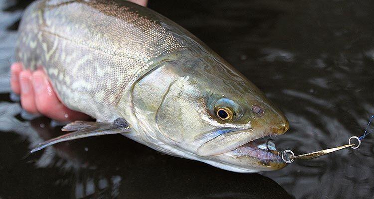 How to Rig and Fish a Spoon: A Guide for New Anglers - USAngler