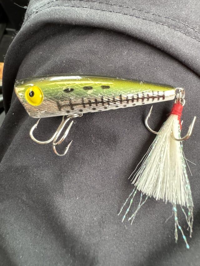 How to Rig and Fish a Topwater Lure: A Guide for New Anglers - USAngler