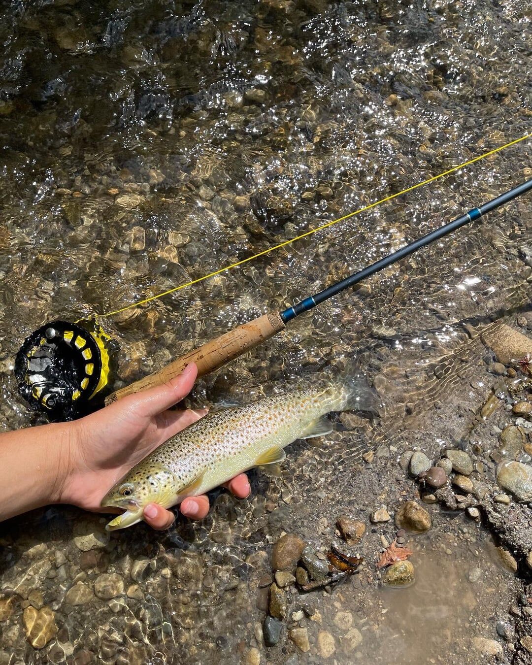 Best 5 Weight Fly Rods: 5wt Showdown - USAngler