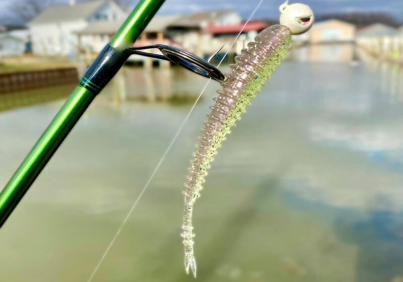 The Damiki Rig: The Most Effective Cold-Water Finesse Technique for ...