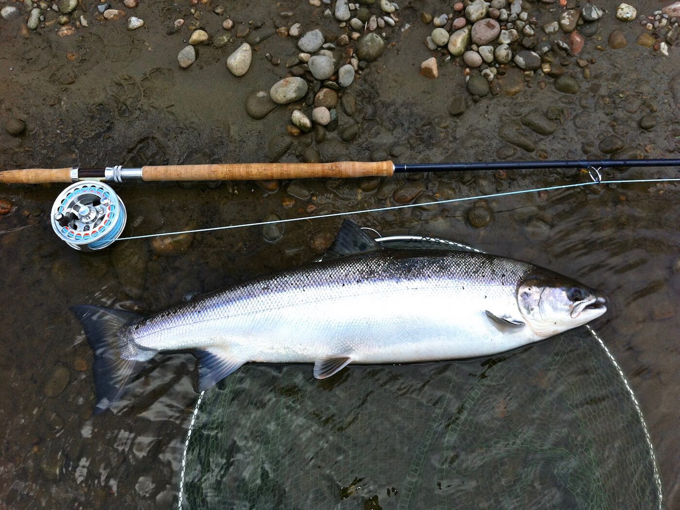 Best Salmon Rods: Our Picks for 2025 - USAngler