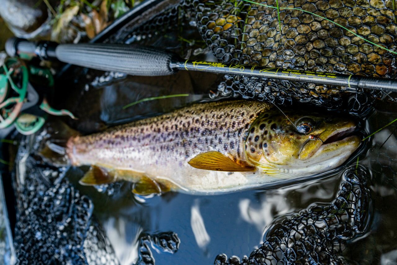 The Best Euro-Nymphing Fly Rods Reviewed: Long, Light, and Ultra ...