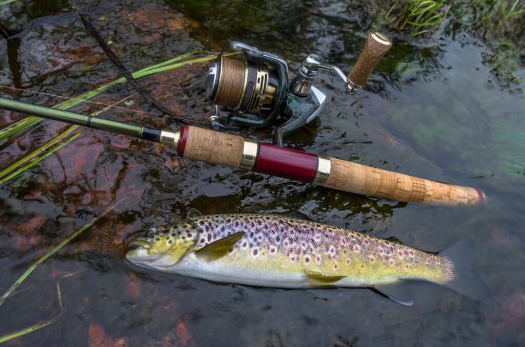 The Best Trout Rods - USAngler