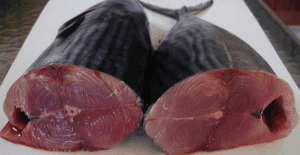 Can You Eat Bonito? Are They Good Fish To Eat?