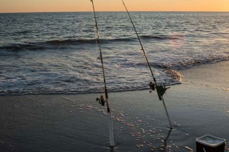 Best Surf Fishing Rods Reviewed: Casting From The Beach In 2025