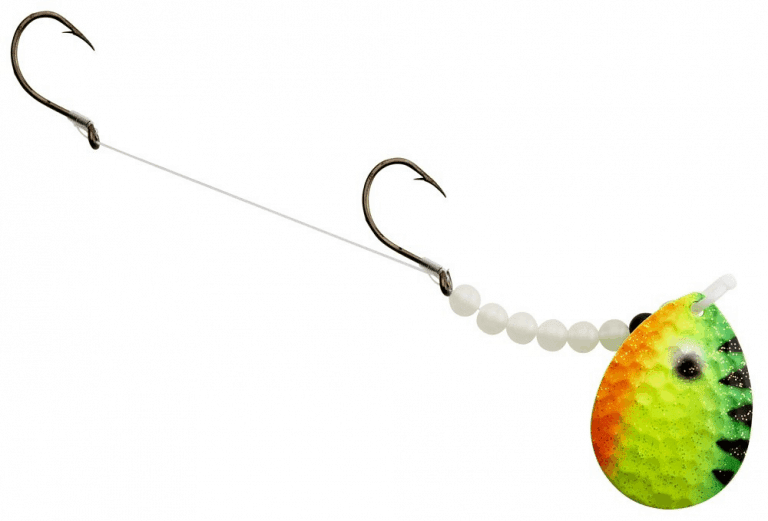 Walleye Fishing Rigs For Spring Summer & Fall - Top Rigs for 2025