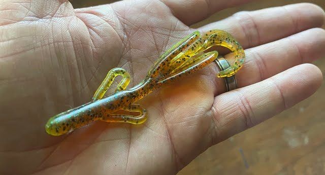 Carolina Rig: An Unbeatable Technique for Hard, Flat Bottoms - USAngler