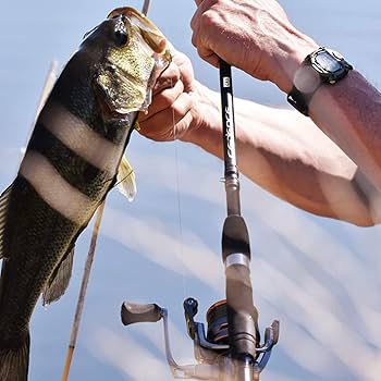 The Best Fishing Rods for Panfish - USAngler