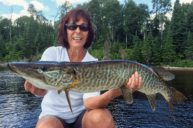 Can You Eat Muskie Fish? All You Need To Know