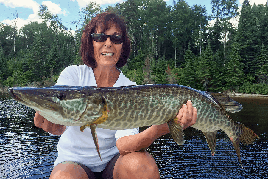 Can You Eat Muskie Fish? All You Need To Know