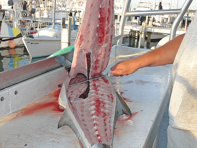 Best Fillet Knives for Anglers Reviewed: Sharp, Flexible, and Secure in ...