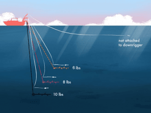 Trolling in the Deep? Best Downriggers Explained & Reviewed