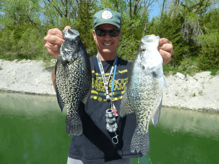 Difference Between Black and White Crappie