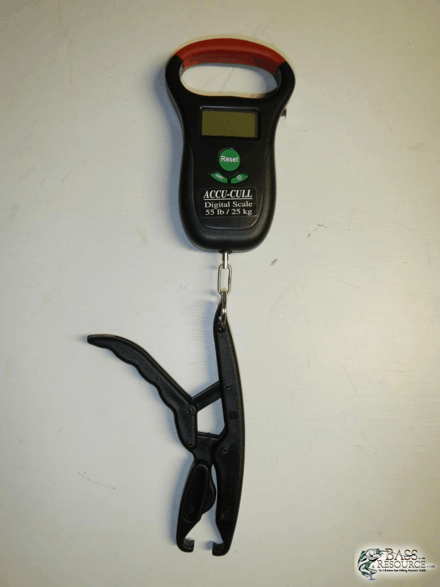 Best Fishing Scales Reviewed: Weighing the Pros and Cons In 2025