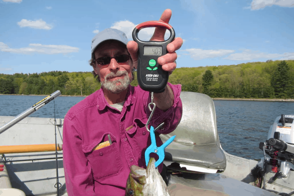 Best Fishing Scales Reviewed: Weighing the Pros and Cons In 2025