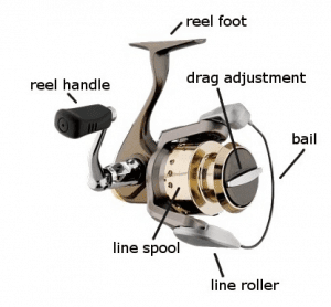How To Set Up a Spinning Reel: A Step-By-Step Guide - USAngler