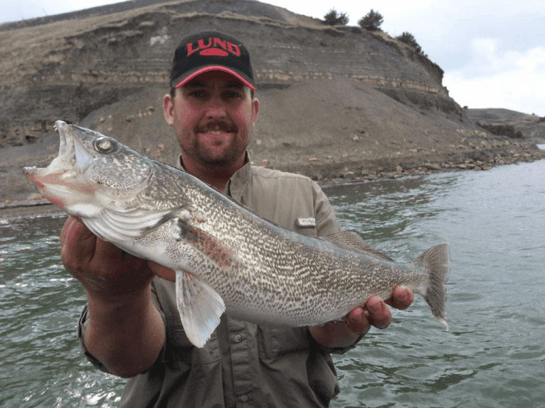 Walleye Fishing Tips: How to Fish for and Catch Walleye