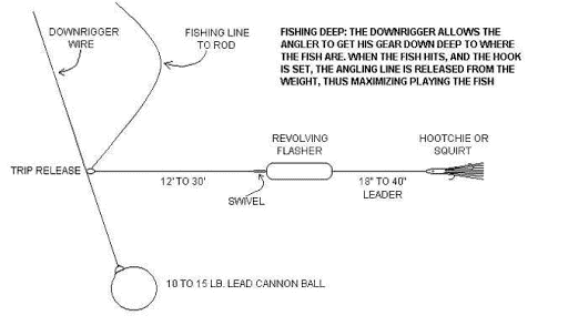 How To Use A Downrigger: Tips and Techniques to Master Deep Water Trolling