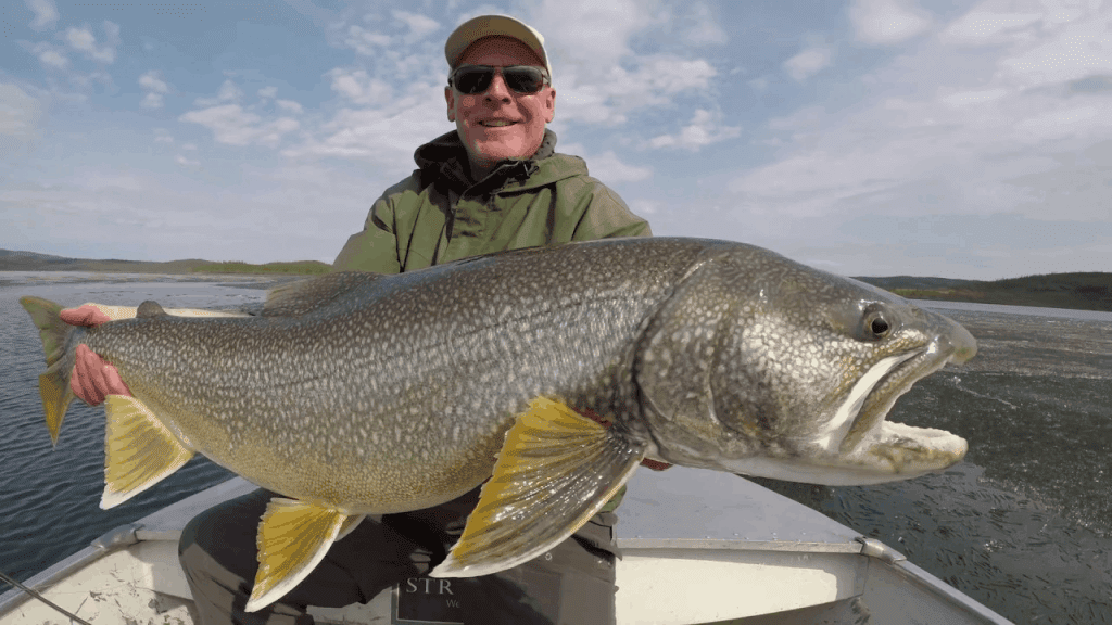 Lake Trout Fishing Tips & Techniques Guaranteed To Help!