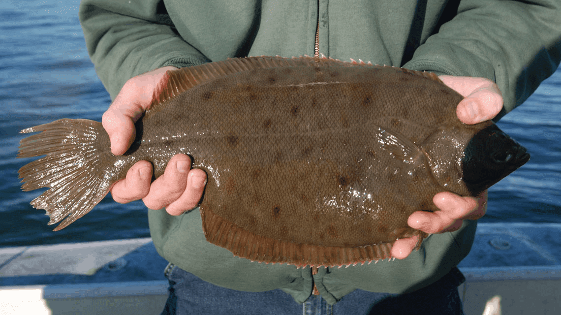 Flounder Fishing Tips & Techniques Guaranteed To Help in 2025