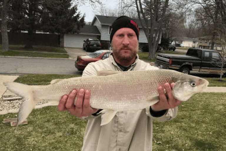 Lake Whitefish: Tips and Tricks to Catch Whitefish in 2025