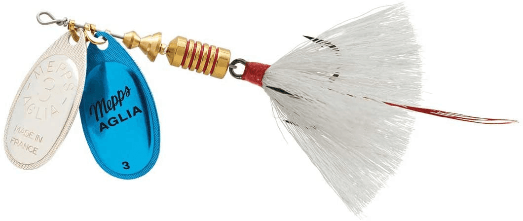 Lake Whitefish: Tips and Tricks to Catch Whitefish in 2025