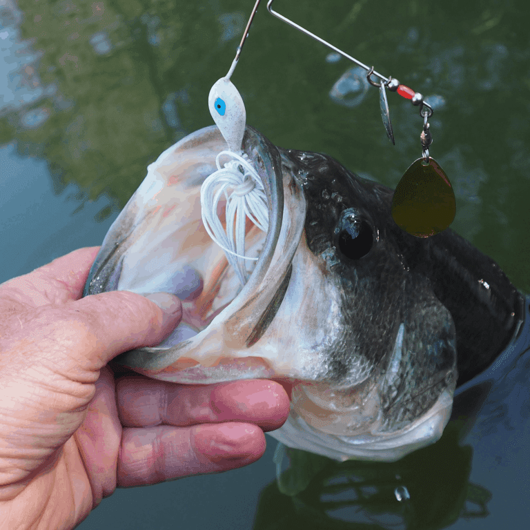 How To Tie On A Spinnerbait To Your Line