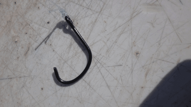Best Hooks For Catfish Reviewed: 2025 Buying Guide