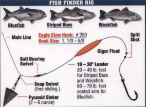 Pier Fishing Rigs: Four Options to Improve Your Odds In 2025