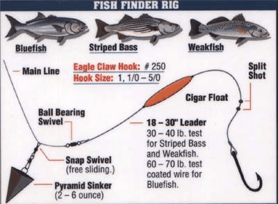 Pier Fishing Rigs: Four Options to Improve Your Odds In 2025