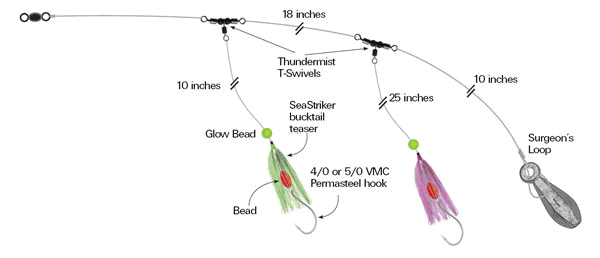 Pier Fishing Rigs: Four Options to Improve Your Odds In 2025