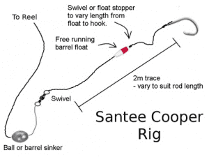 The Best Catfish Rigs: Blue and Flathead Essentials - USAngler