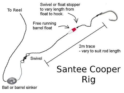 The Best Catfish Rigs: Blue and Flathead Essentials - USAngler