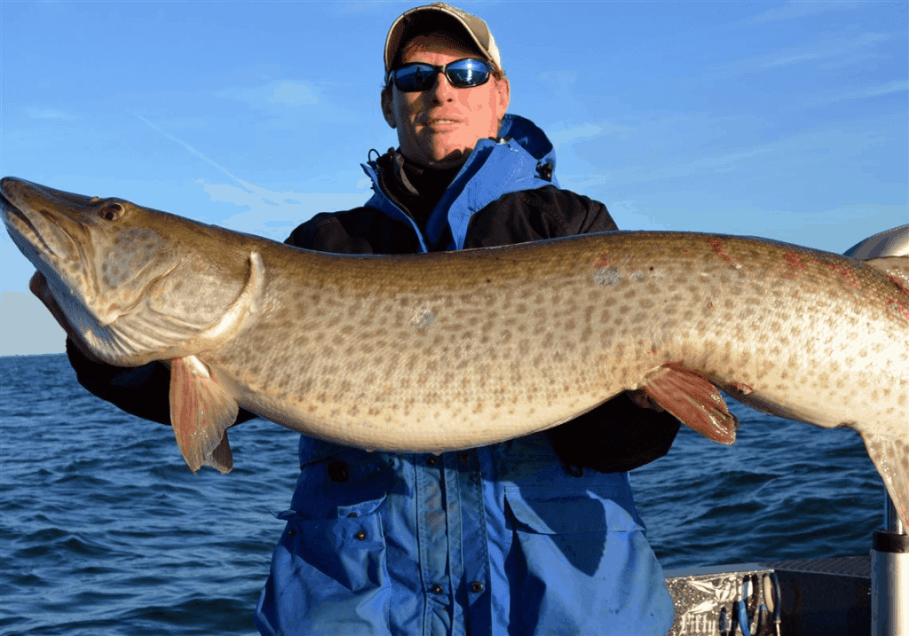 Muskie vs Pike: Identification of Scale, Tail, and Jaw - USAngler