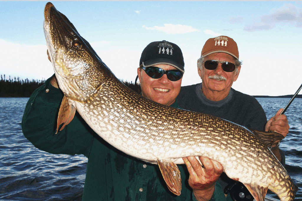 Muskie vs Pike: Identification of Scale, Tail, and Jaw - USAngler