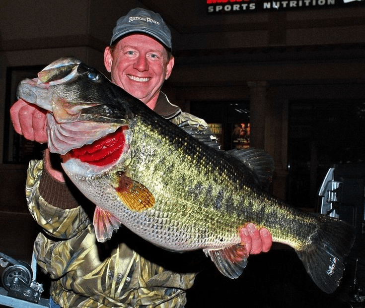 Largemouth Bass Anatomy: What You Need to Know - USAngler