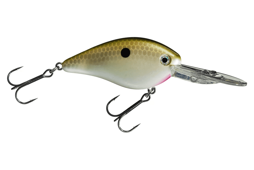 How To Catch Spotted Bass - Identification, Techniques and Lures - USAngler